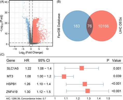 Differentially Expression Analysis And SLC1A5 Gene Screen A Volcano