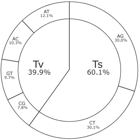 classification of snps based on their nucleotide substitutions either
