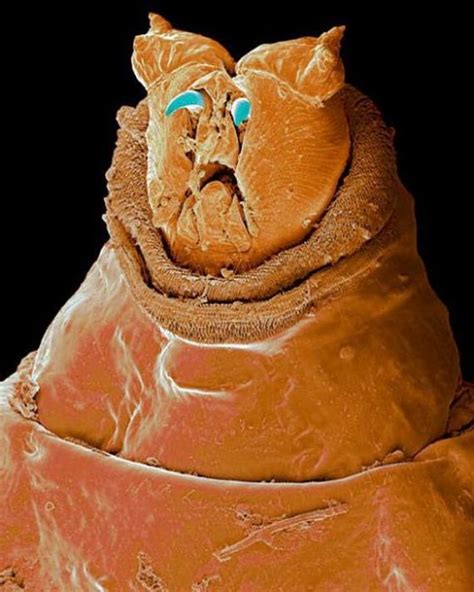 Swords And Stitchery Old Time Sewing And Table Top Rpg Blog Sex In Human Space Empires The Grix