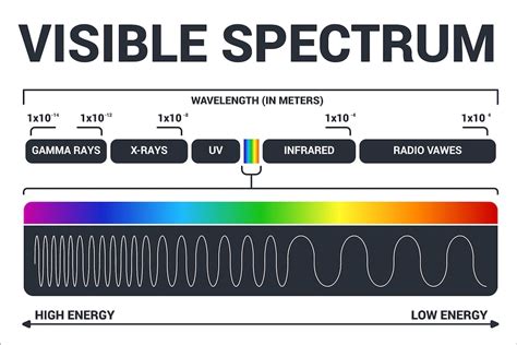 Premium Vector Visible Light Diagram Color Electromagnetic Spectrum