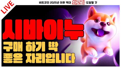 시바이누 구매 하기 딱 좋은 자리입니다 Youtube