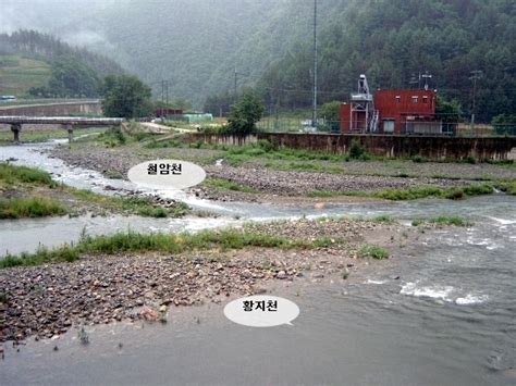곡류절단 네이버 블로그
