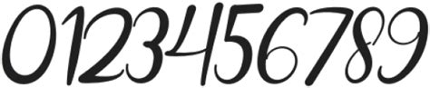 Baritta Italic Otf Font Script Elegant What Font Is