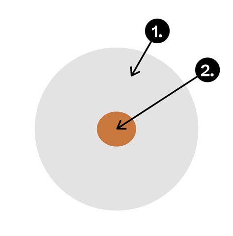 Meiosis Sexual And Asexual Reproduction Biology Explanation