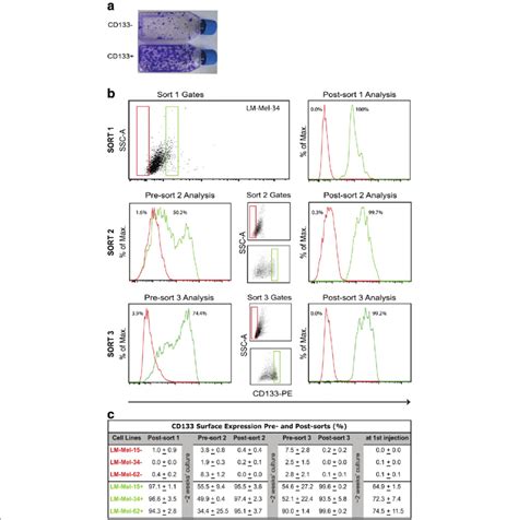 Serial Cell Sorting Is Essential To Isolate Highly Pure CD And Download Scientific Diagram