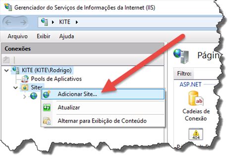 Rodrigo Sendin Publicação MANUAL de WebApi no IIS
