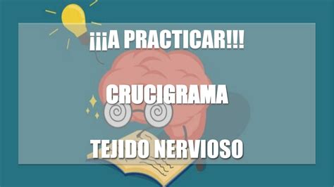 Crucigrama del Tejido Nervioso Briggitte Yamilé Suarez Esteban uDocz