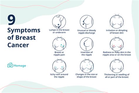 Breast Cancer 101 Symptoms Causes And Treatment Homage