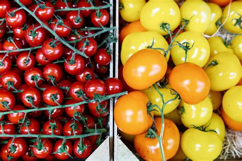 Revel In The Bounty Of Spring With A Feast From Yotam Ottolenghi The