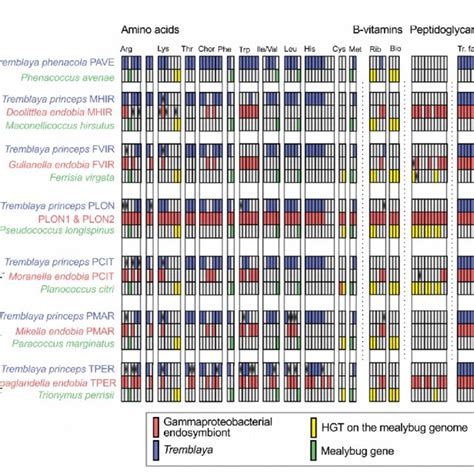 A Complex History Of Gene Retention Loss And Acquisition In The