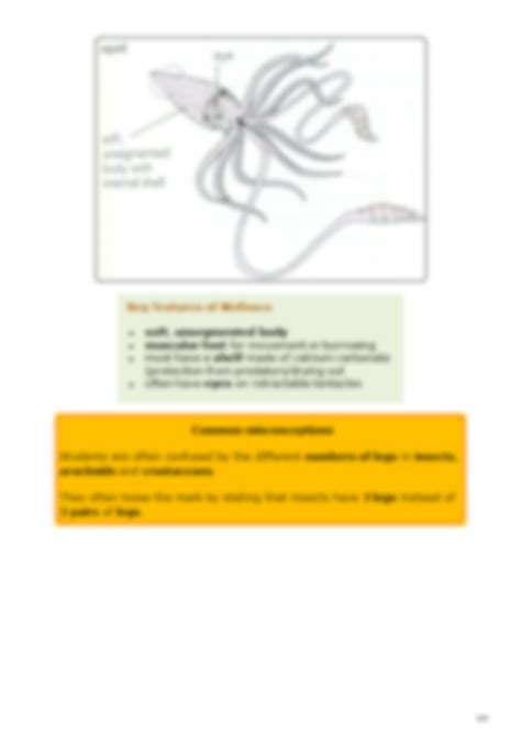 Solution Annelids Nematodes Molluscs Biology Notes Studypool
