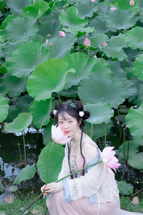 山有扶苏，隰有荷华。檀香姑娘 站酷zcool