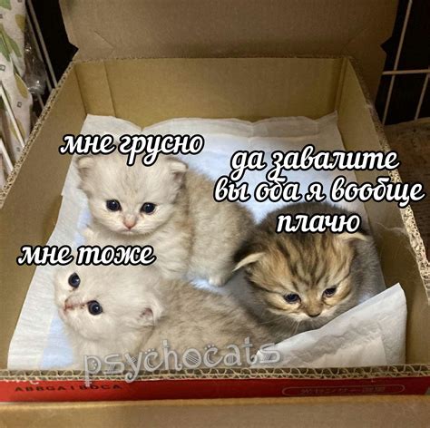 Nick Afanasiev Nick Afanasiev Twitter