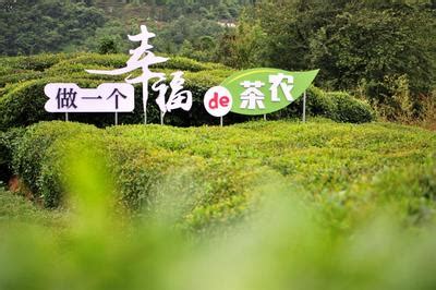 湖北宜昌茶乡小镇风景美 人民图片网
