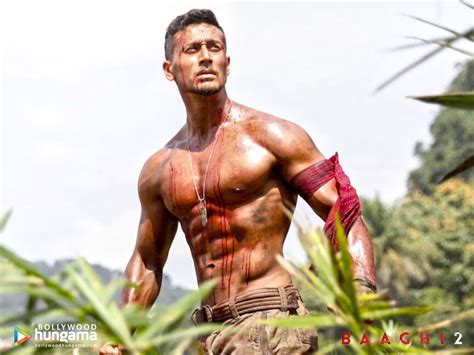Baaghi 2 2018 Wallpapers Baaghi 2 2018 Hd Images Photos Baaghi 2