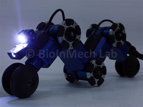 Bioinmech Lab Ritsumeikan University Japan 生物知能機械学研究室，立命館大学