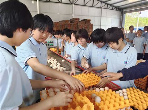 衡水新闻网