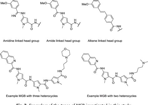 Figure 1 From An Evaluation Of Minor Groove Binders As Anti Trypanosoma