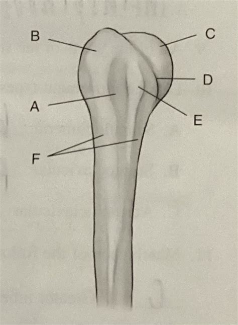 Positioning Ch 5 Exercise A Diagram Quizlet