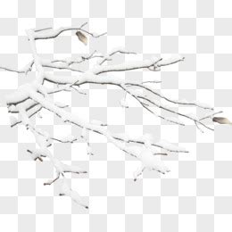 雪花树枝图片素材 免费雪花树枝PNG设计图片大全 图精灵