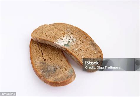 곰팡이가있는 오래된 빵 조각 버릇없는 빵에 곰팡이가 생깁니다 음식물 쓰레기 몰드에 대한 스톡 사진 및 기타 이미지 몰드 빵