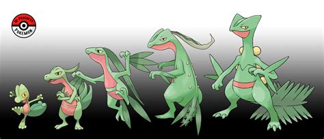 252 254 Treecko Line By Inprogresspokemon On Deviantart