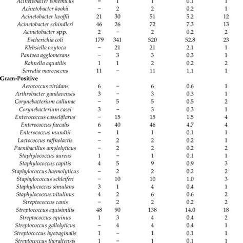 Bacteria Isolated From The Cranial Vagina Before D And After Download Scientific Diagram