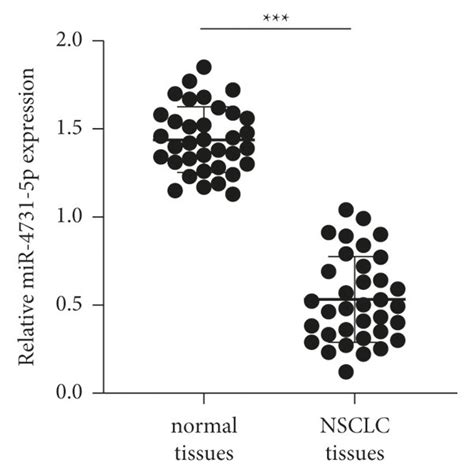 Mir 4731 5p Is Down Expressed In Nsclc Tissues And Cell Lines A The