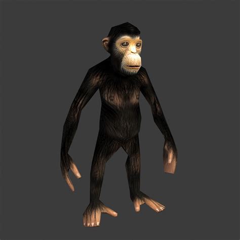 Monkey Free 3d Model Blend Free3d
