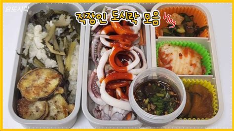 한달식비 10만원 자취생 직장인 도시락 모음 🍱 식비절약 현실 초간단 자취요리🥢닭다리살고추장구이시래기밥오징어무침버섯