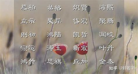 文雅大气的男孩名字，充满诗意 知乎