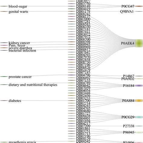 Some Drug Target Interactions With Treatment Areas Of The Drugs