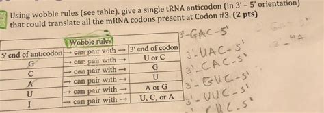 Solved A Using Wobble Rules See Table Give A Single Trna