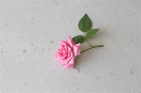 핑크 로즈 컷 꽃은 회색 빛 배경에 놓여 있습니다 하얀 탁자 위에는 아름 다운 장미가 하나 있습니다 Minimalism 그의