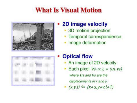 Ppt Robust Visual Motion Analysis Piecewise Smooth Optical Flow