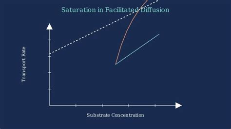 Understanding Diffusion Movement Types And Everyday Examples Biology Notes Online