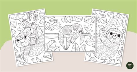 Mindfulness Colouring Teach Starter