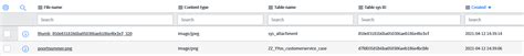 Solved Attachment Variable On Record Producer Not Getting