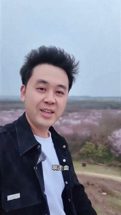 朱元璋的儿子“朱樉”做梦也没想到自己的墓遗址，现在是西安的赏花打卡地，目前百亩桃花已经如期绽放，宛如十里桃源，喜欢拍照的小伙伴抓紧了！旅行