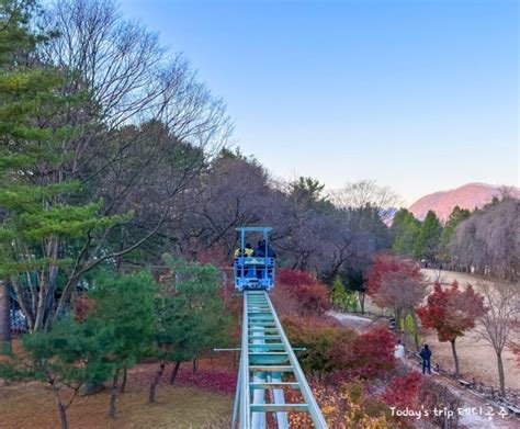 가평 데이트 코스 남이섬 선착장 배 시간표 입장권 커플 놀거리 자전거 대여 하늘자전거 시간 요금 네이버 블로그