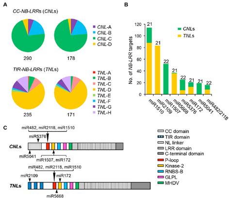 Putative Nucleotide Binding Site Leucine Rich Repeat NB LRR Targets