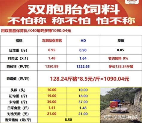 双胞胎集团饲料 用数据说话 知乎