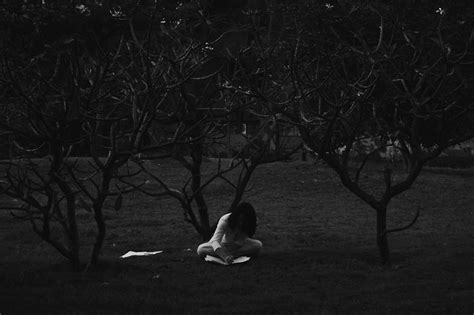 I Fucking Hate Trees On Behance