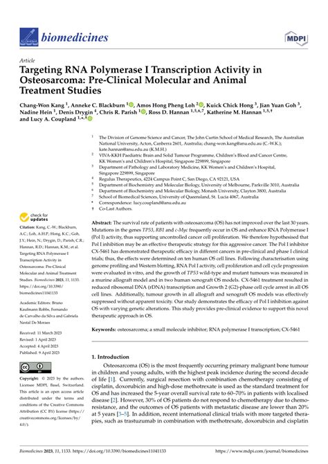 Pdf Targeting Rna Polymerase I Transcription Activity In Osteosarcoma