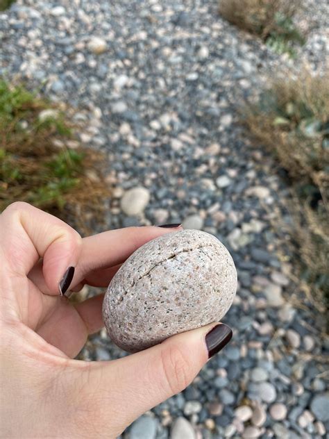 Fossil Found At Lake Huron R Fossils