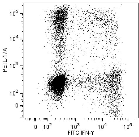 Human Th1 Th17 Phenotyping Kit