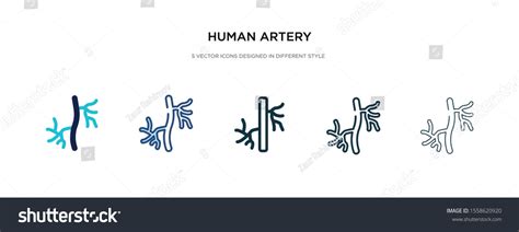 Human Artery Icon Different Style Vector Stock Vector Royalty Free 1558620920