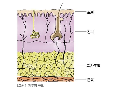 오늘도 스무살 강남점 피부관리샵 체험후기 서율쌤리프팅관리 네이버 블로그