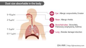 Wat Is Fijnstof Hoe Schadelijk Is Het Voor Jou Extreme Air Products
