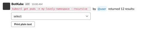 Interactive Executor Output Slack · Issue 927 · Kubeshopbotkube